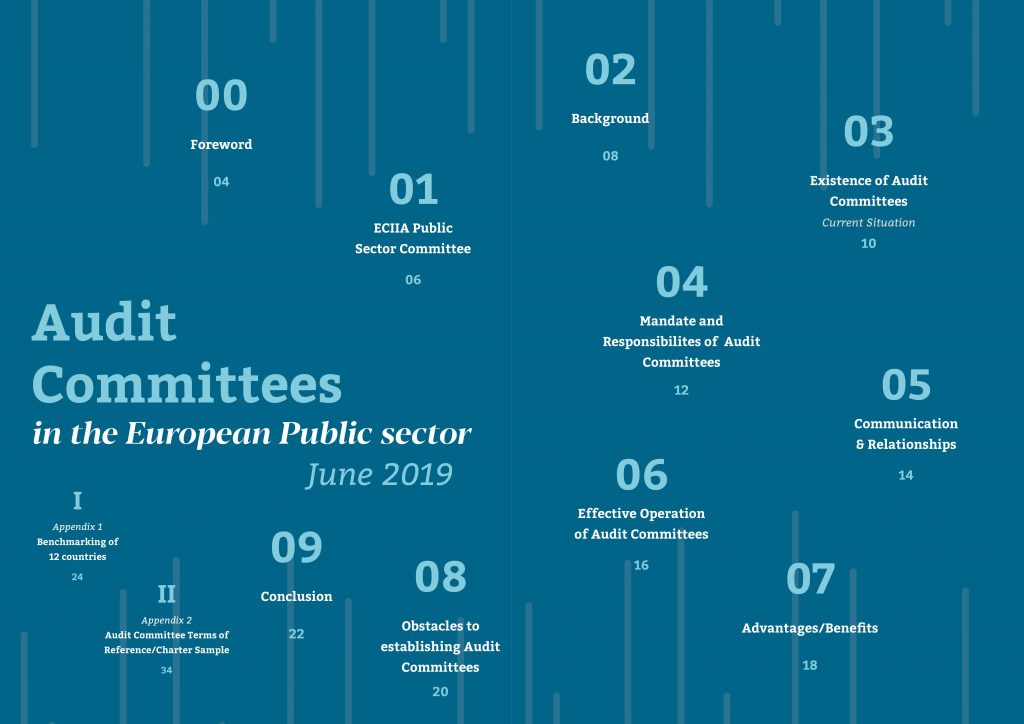 Audit Committees in the Public Sector | ECIIA