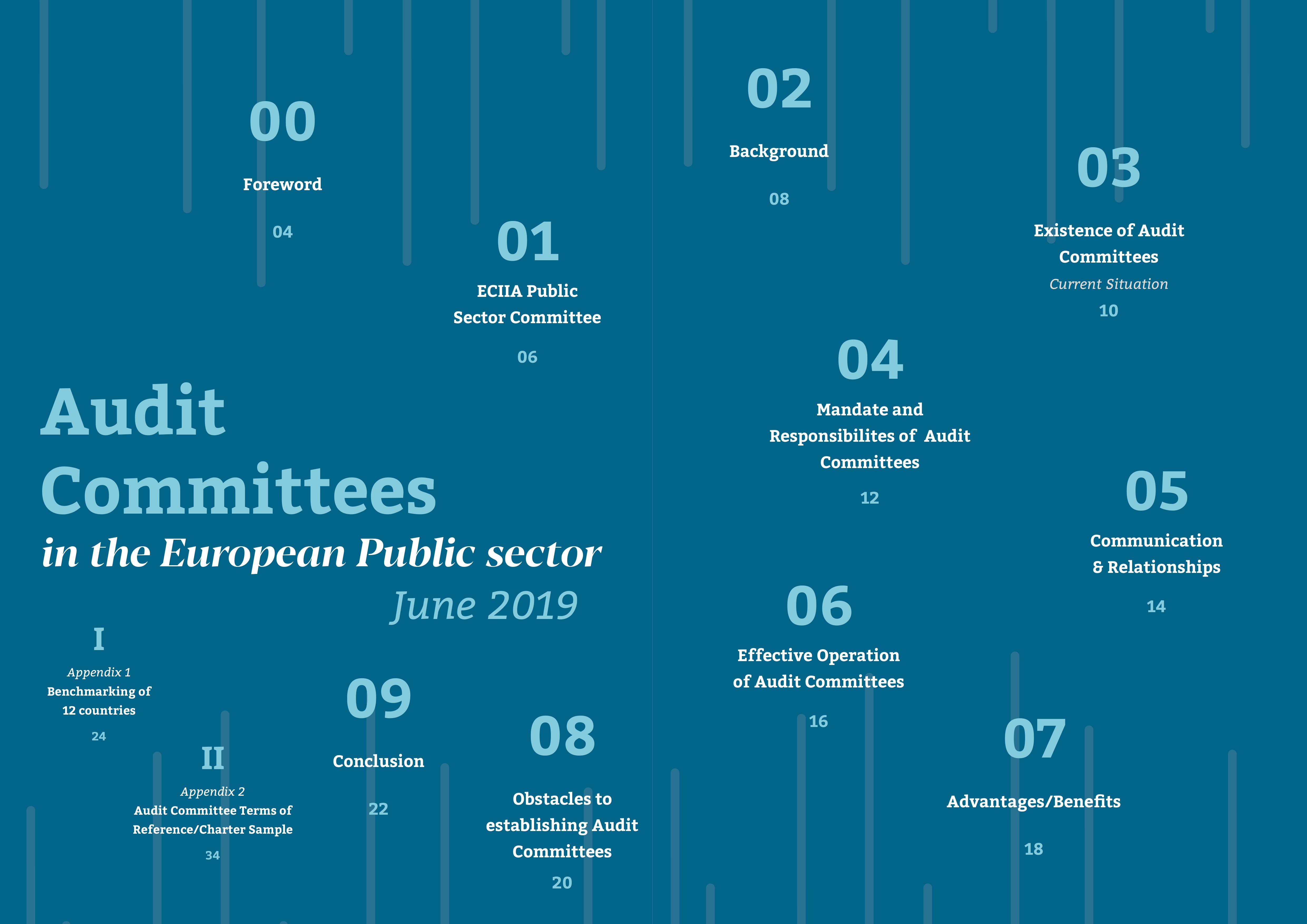 Audit Committees in the Public Sector | ECIIA